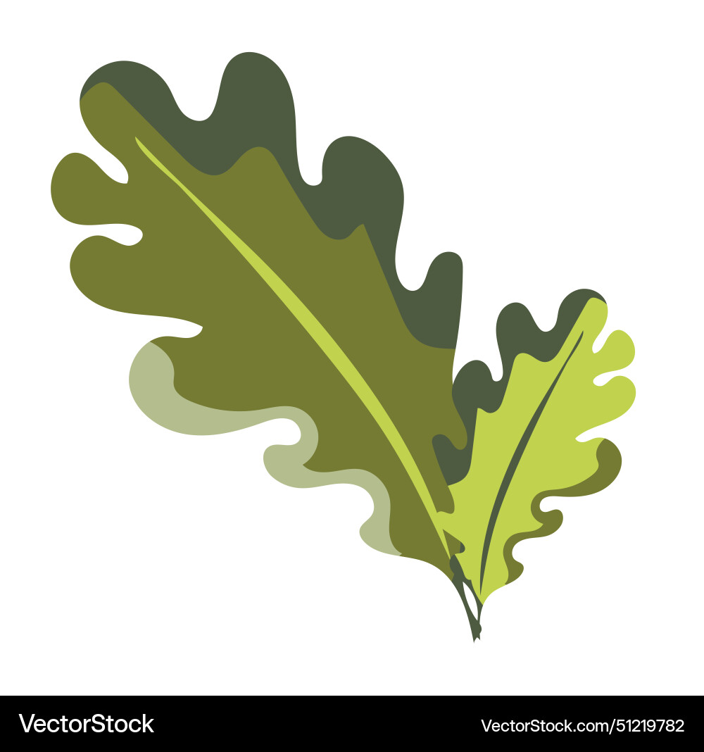 Green oak leaves in flat design decorative forest Vector Image