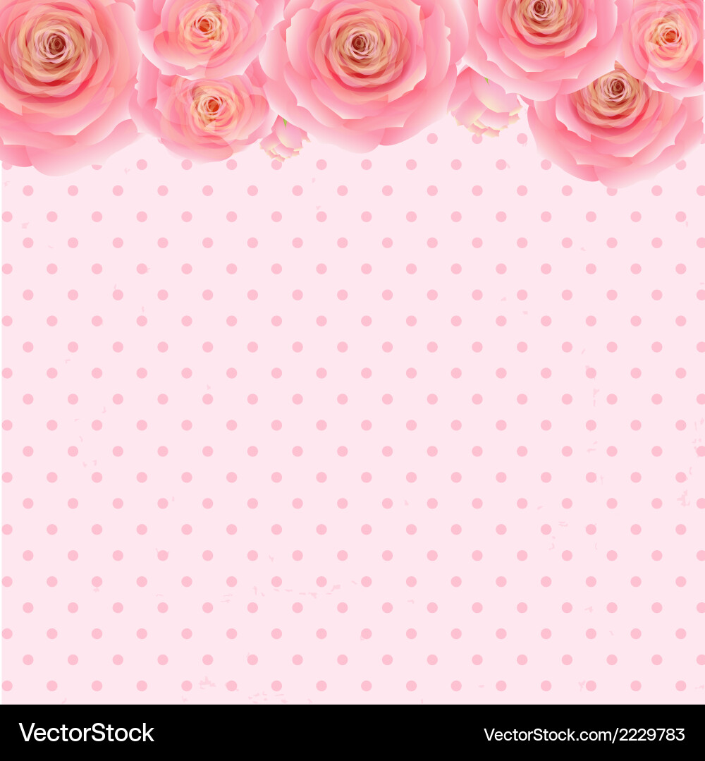Pink rose background Royalty Free Vector Image