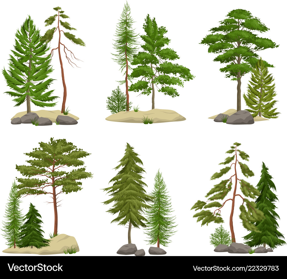 Realistic pine forest elements set Royalty Free Vector Image