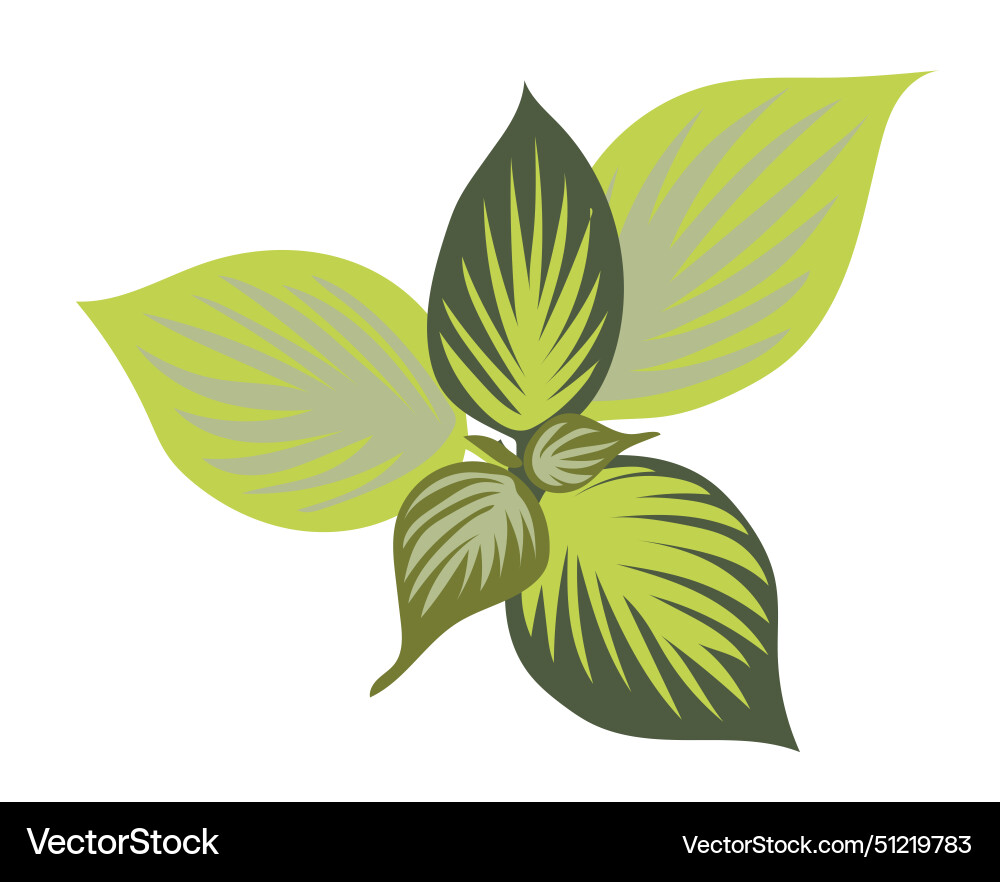 Tropical leaves with stripes pattern in flat Vector Image