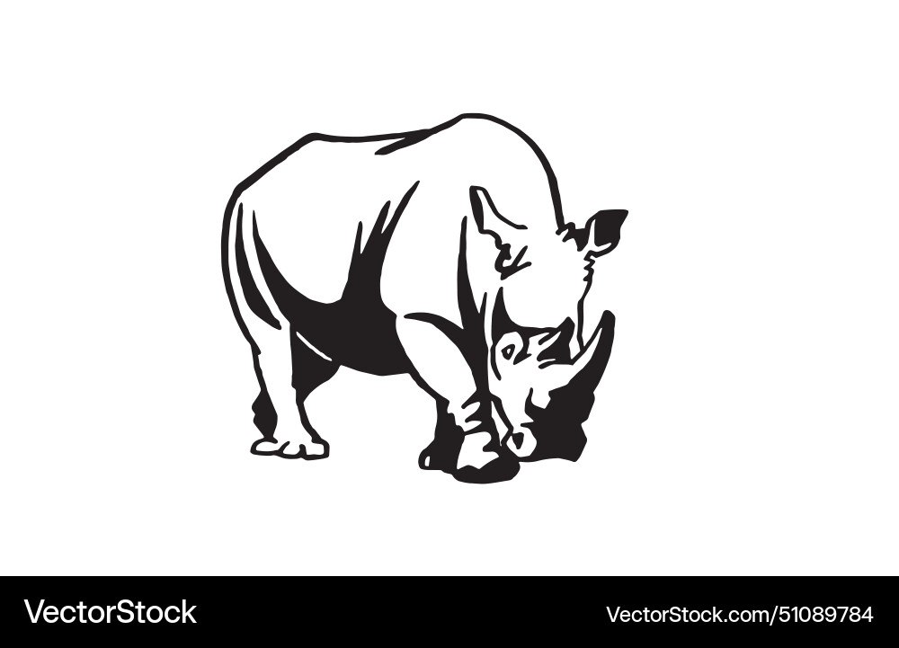 Graphical rhino isolated on white background Vector Image
