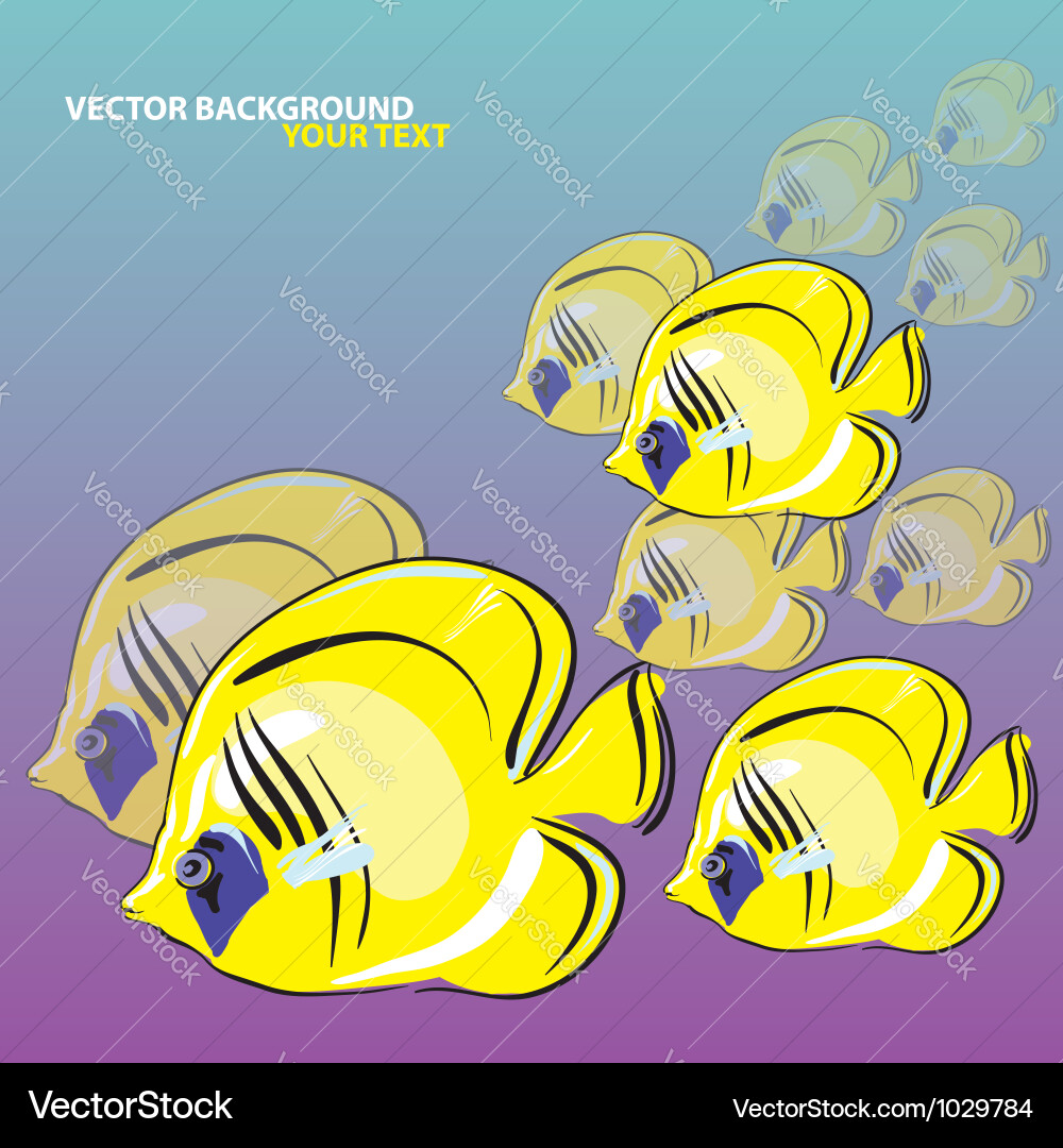 Tropical fish background Royalty Free Vector Image