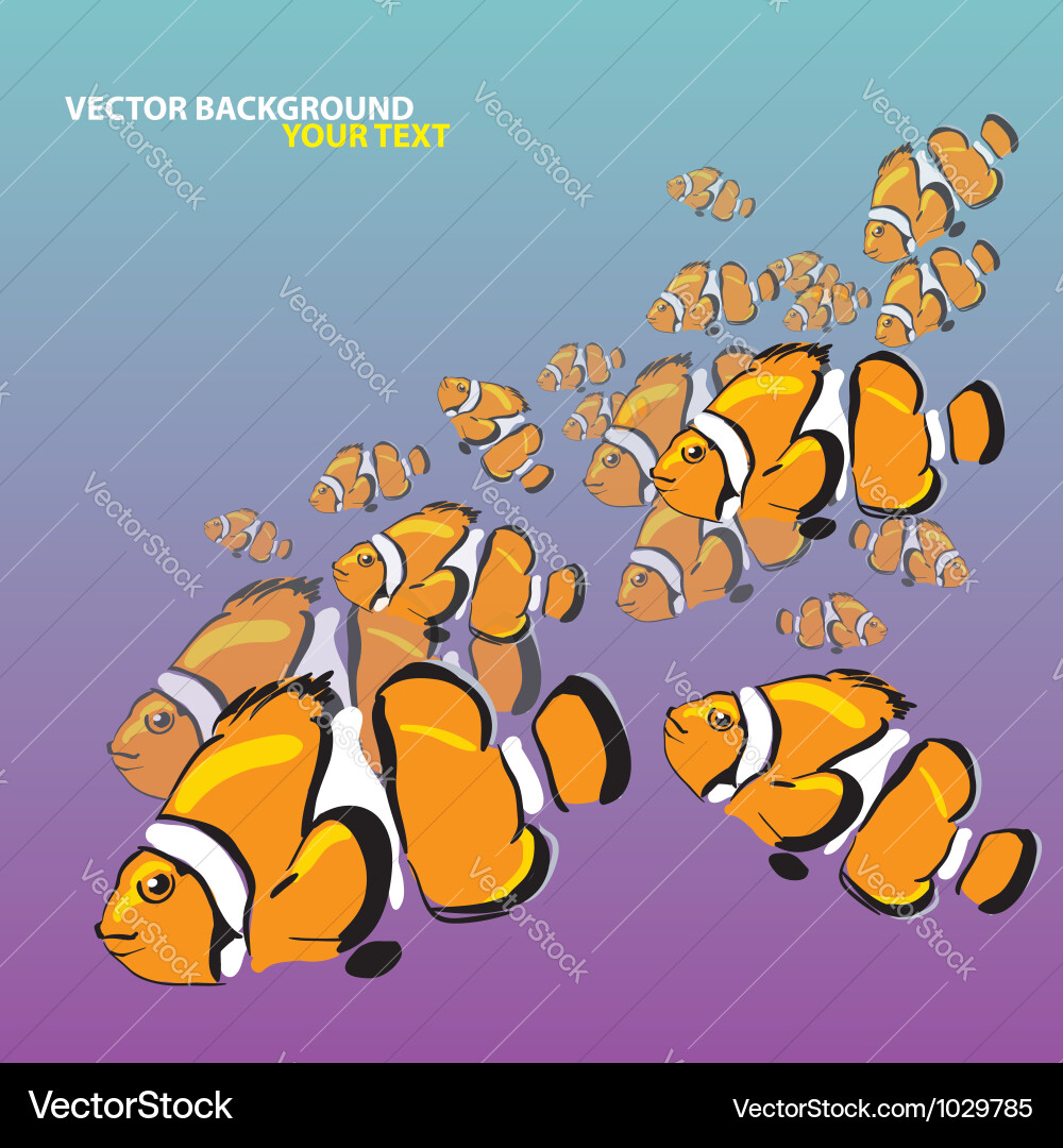 Clown fish background Royalty Free Vector Image