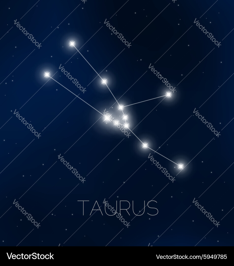 Taurus constellation in night sky Royalty Free Vector Image