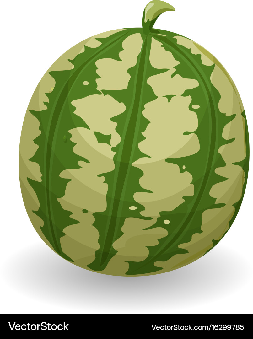 Watermelon Royalty Free Vector Image - VectorStock