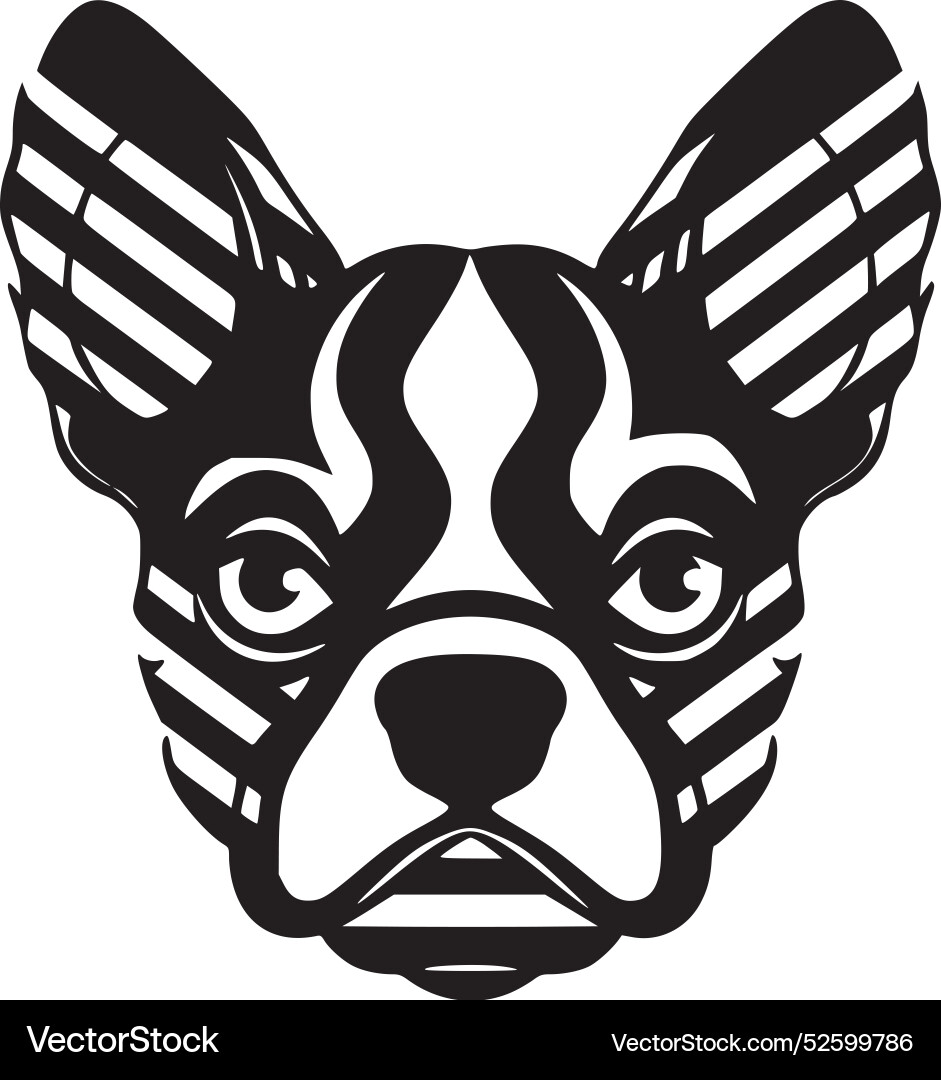 Boston terrier - high quality logo ideal Vector Image