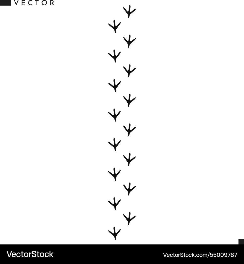 Bird paw print Royalty Free Vector Image - VectorStock