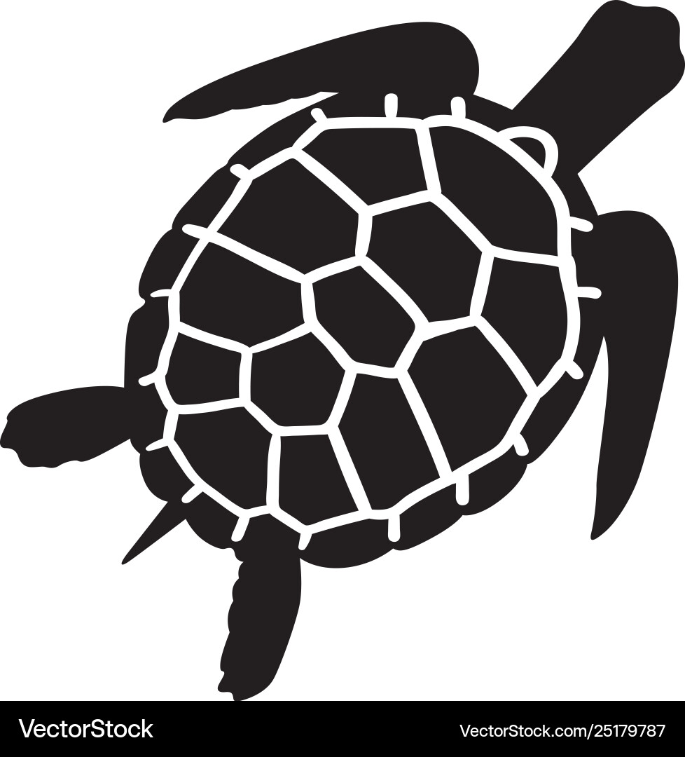 Turtle eps (25179787) – Free Vector | VectorStock