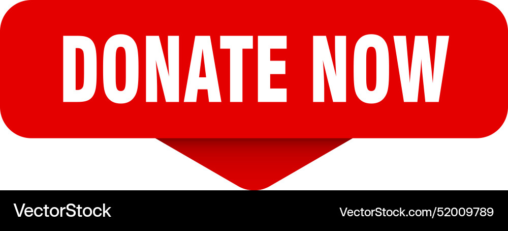 Donate now sticker sign on transparent Royalty Free Vector