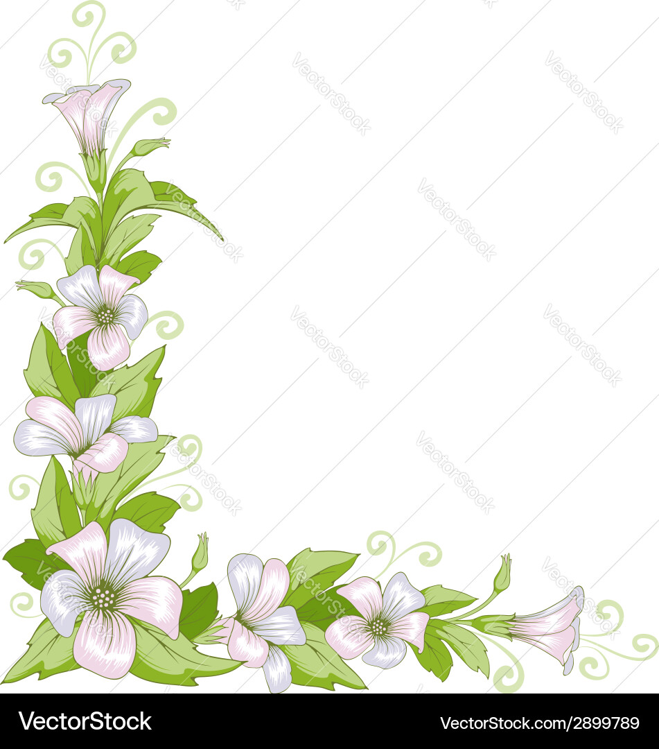 Floral corner Royalty Free Vector Image - VectorStock