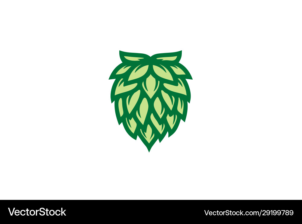 Hops flower for beer brewing brewery logo design Vector Image