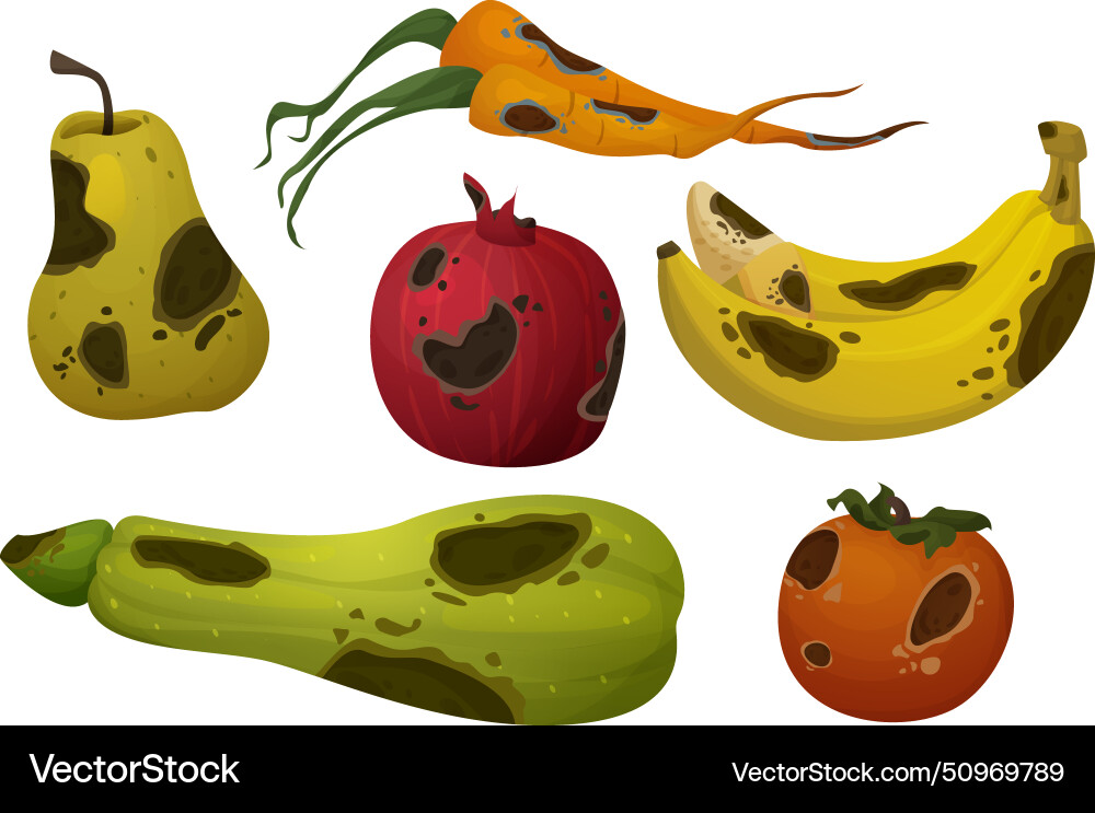 Rotten food with rot and mold Royalty Free Vector Image
