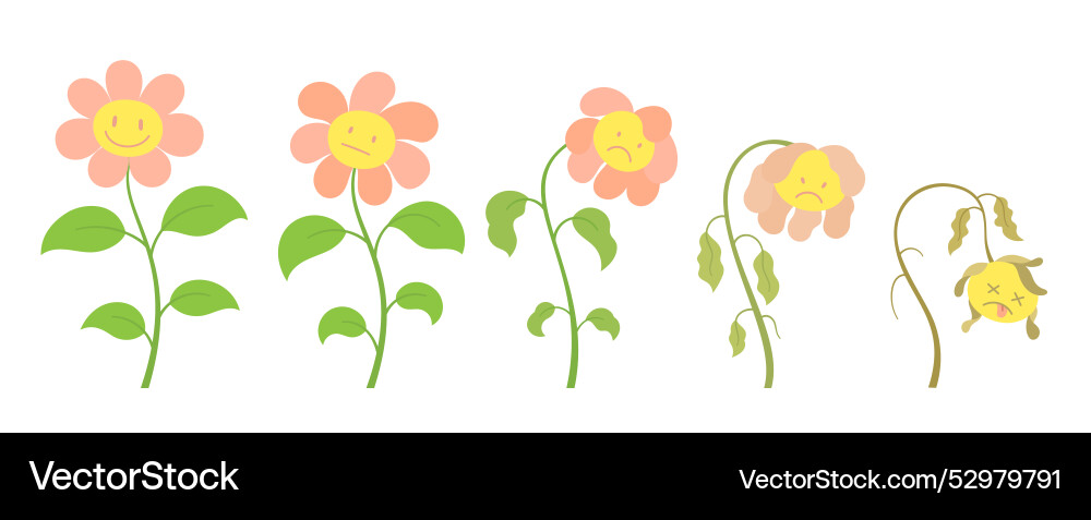 Flower character process of withering Royalty Free Vector