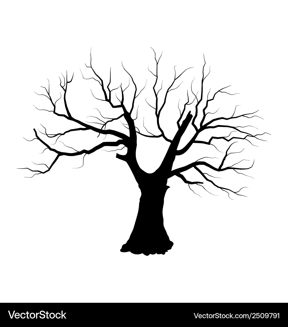Isolated Dead Tree Silhouette Royalty Free Vector Image