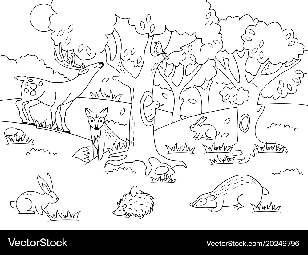 Cute Forest Animals Coloring Page Royalty Free Vector Image