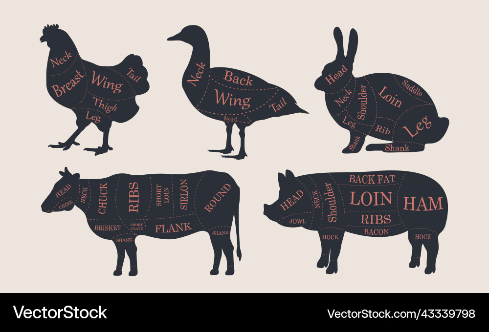 Butcher Diagram Set – Animal Cuts Royalty Free Vector