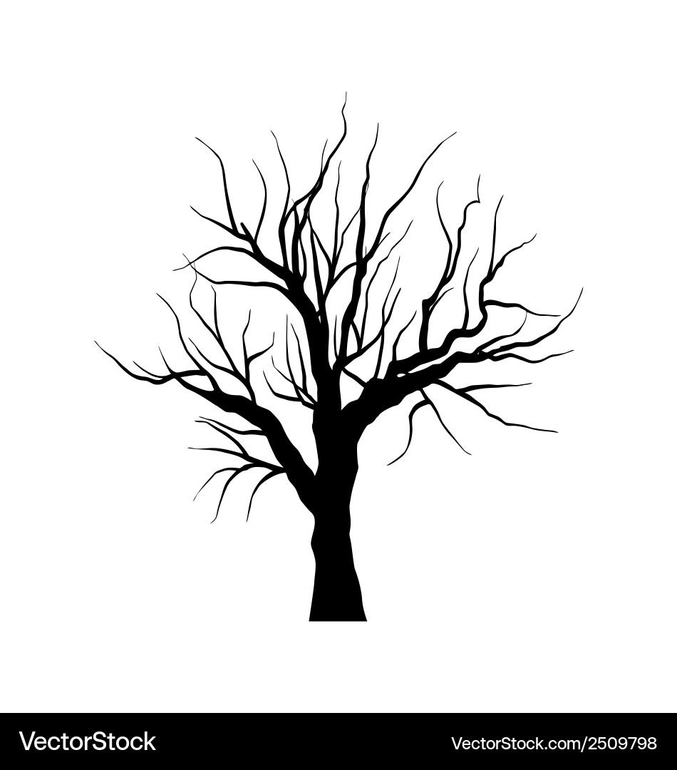 Isolated Dead Tree Sketch Royalty Free Vector Image