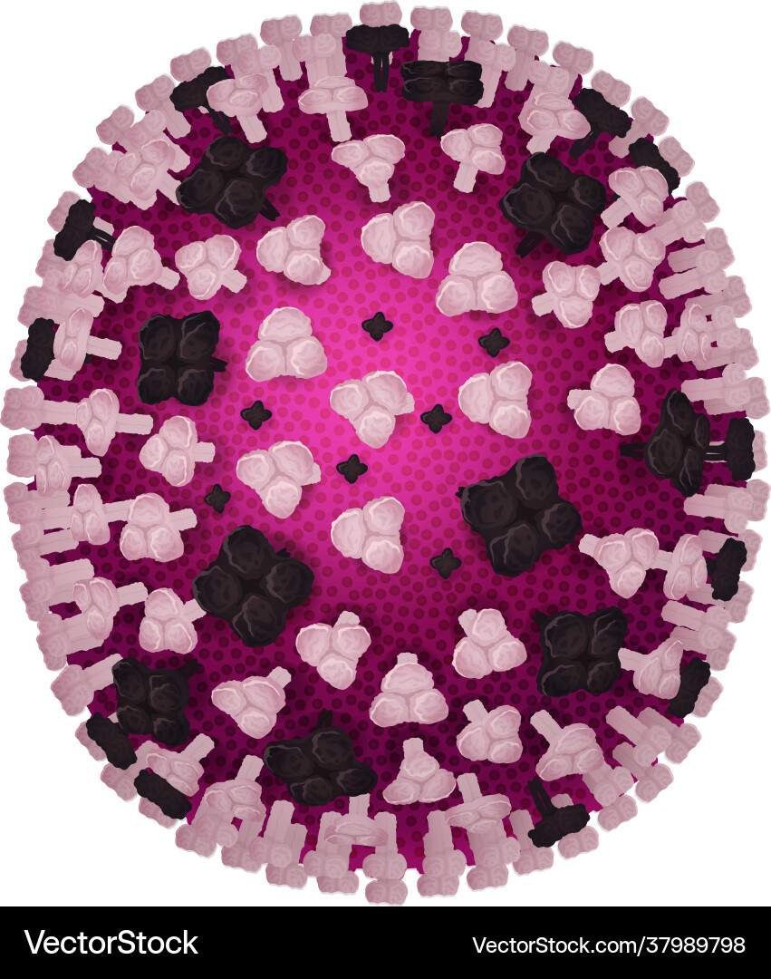 Realistic virus Royalty Free Vector Image - VectorStock