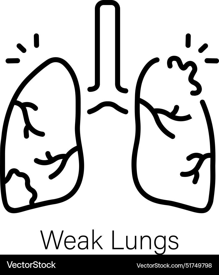 Web Royalty Free Vector Image - VectorStock