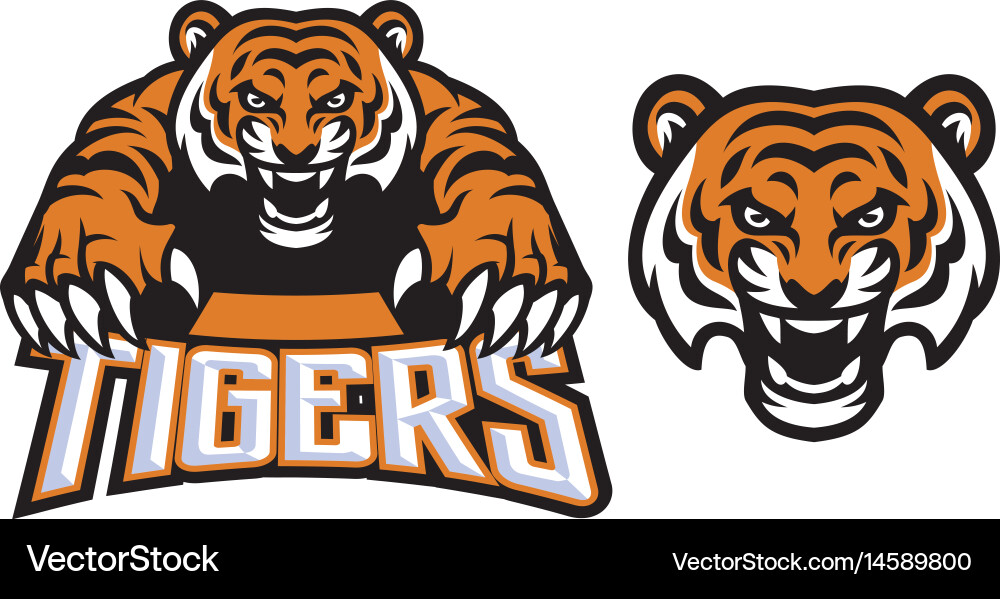 Crawling tiger Royalty Free Vector Image - VectorStock