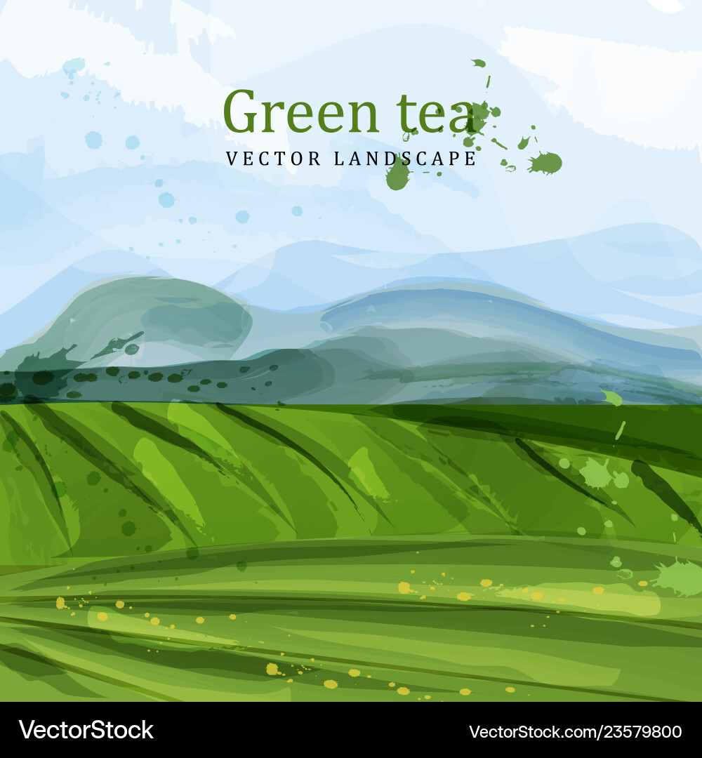 Green Tea Watercolor Landscape Royalty Free Vector Image