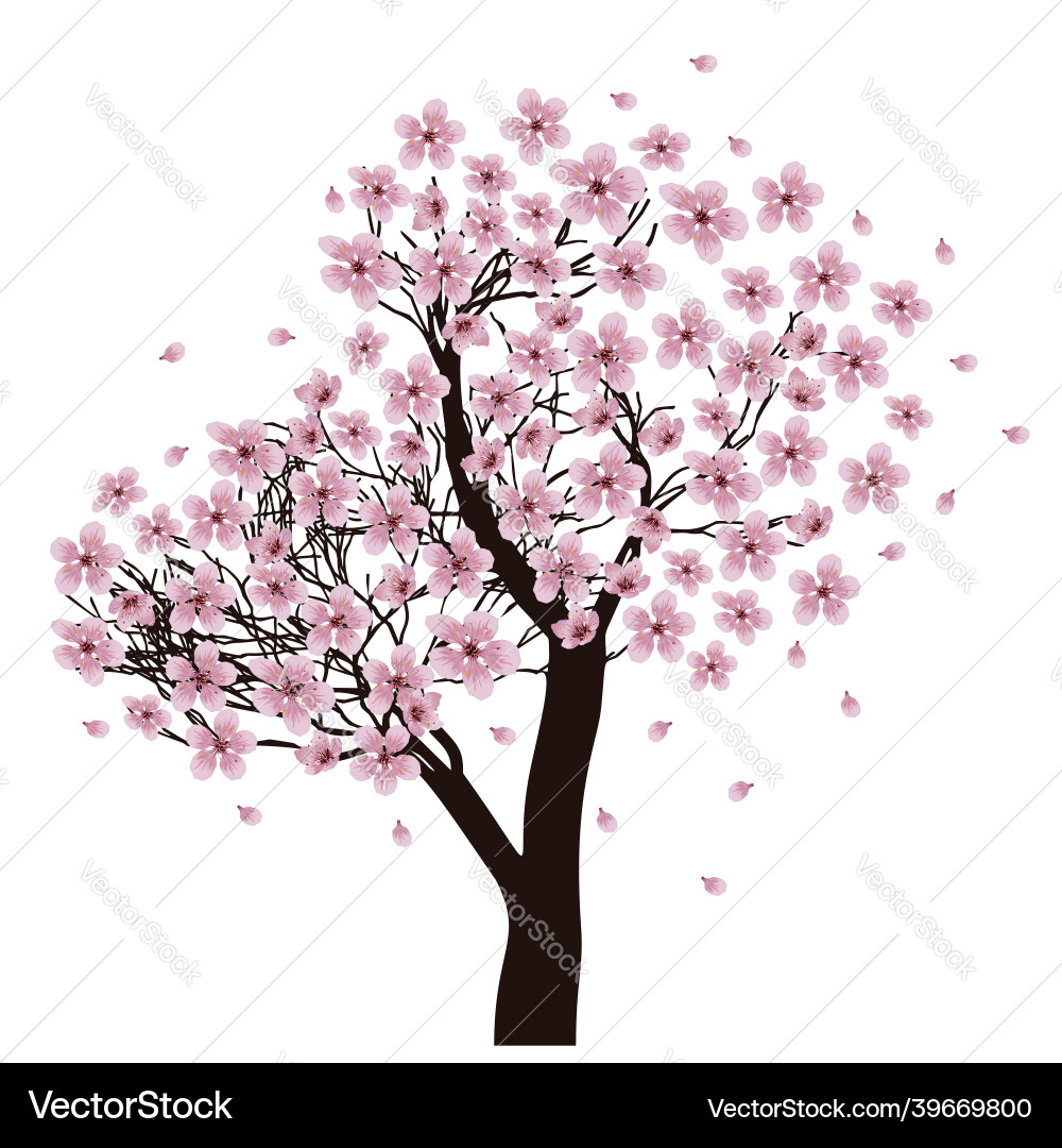 Sakura tree in bloom Royalty Free Vector Image