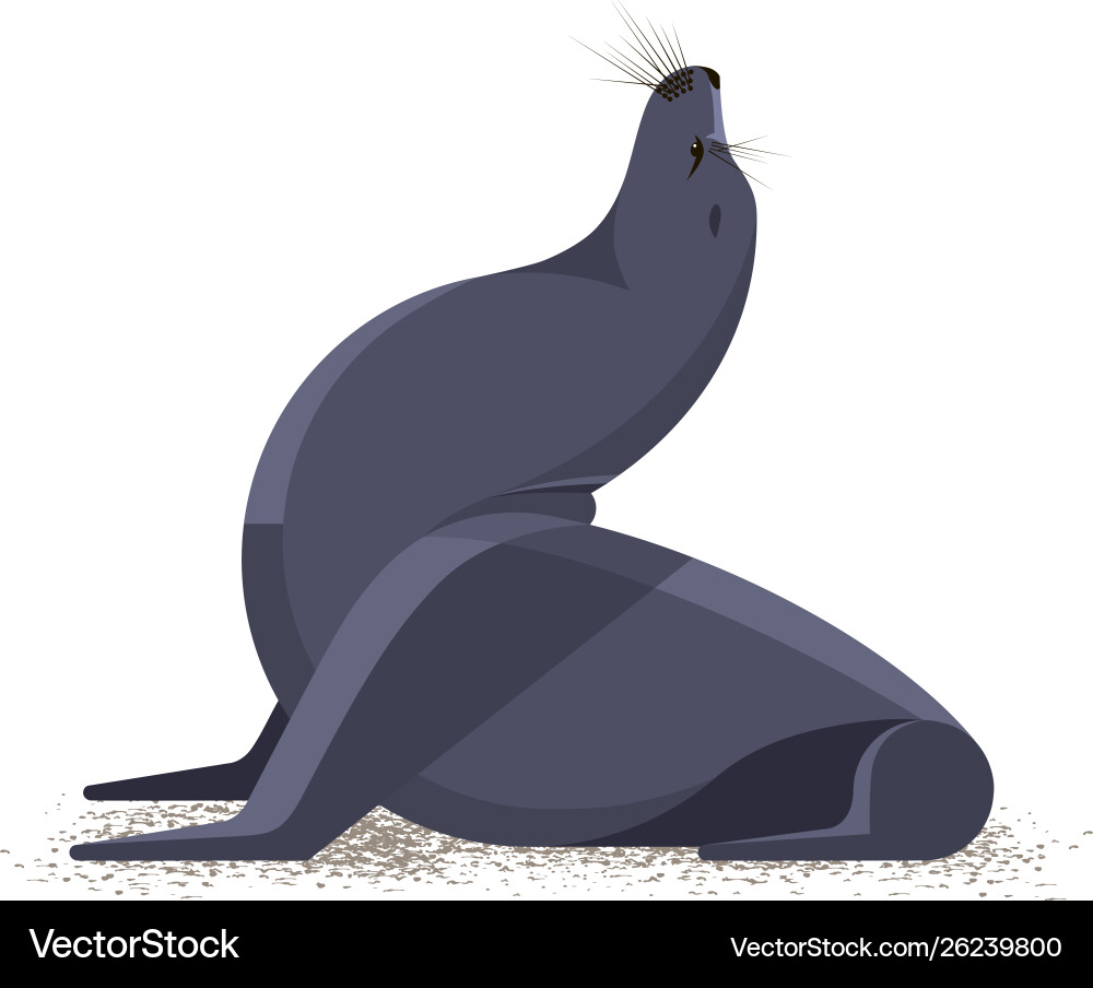 Seal Royalty Free Vector Image - VectorStock
