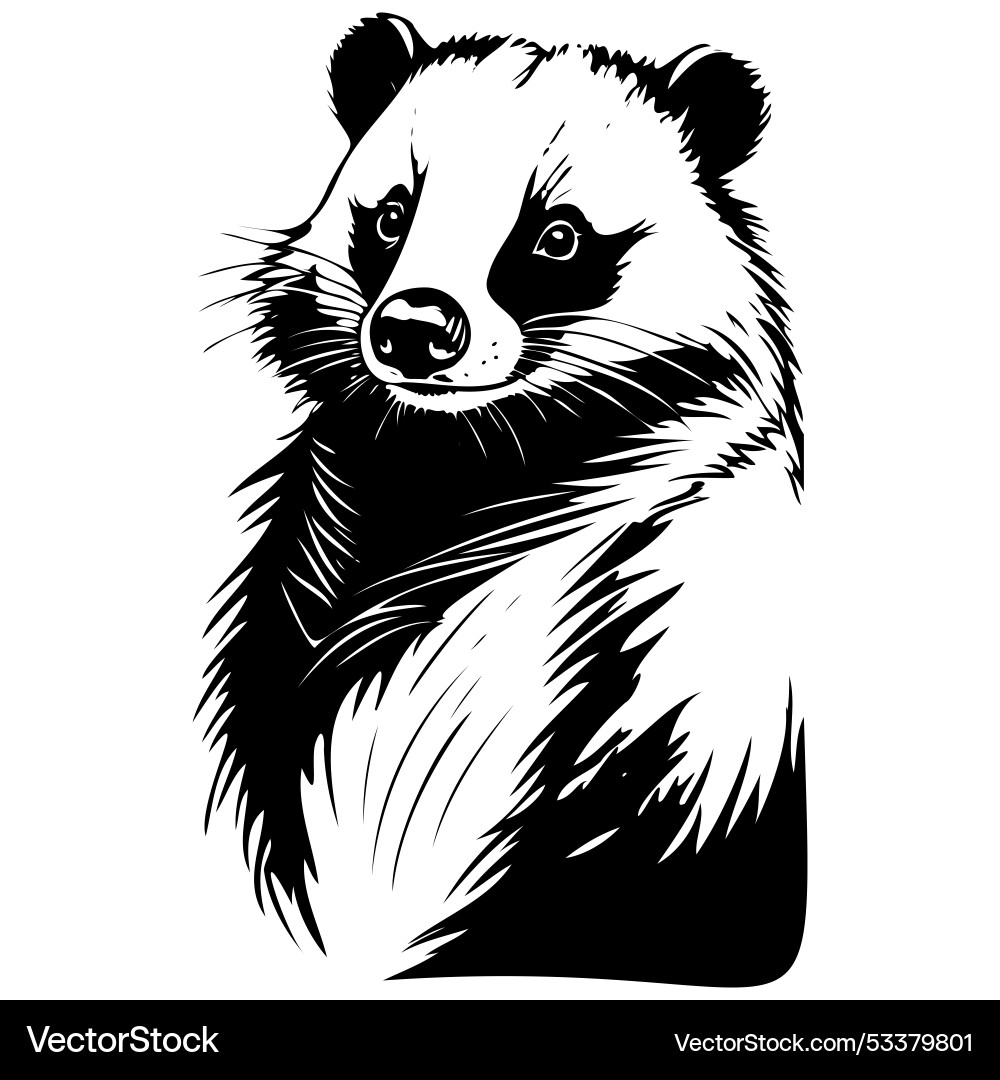 Badger portrait black hand drawn animal Royalty Free Vector