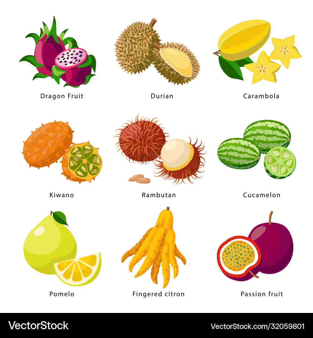 Exotic fruits icon set detailed Royalty Free Vector Image