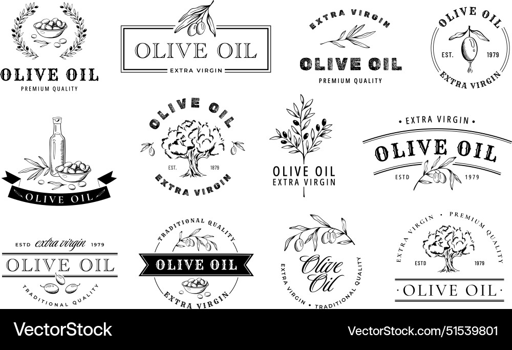 Olive oil emblem hand drawn labels for extra Vector Image