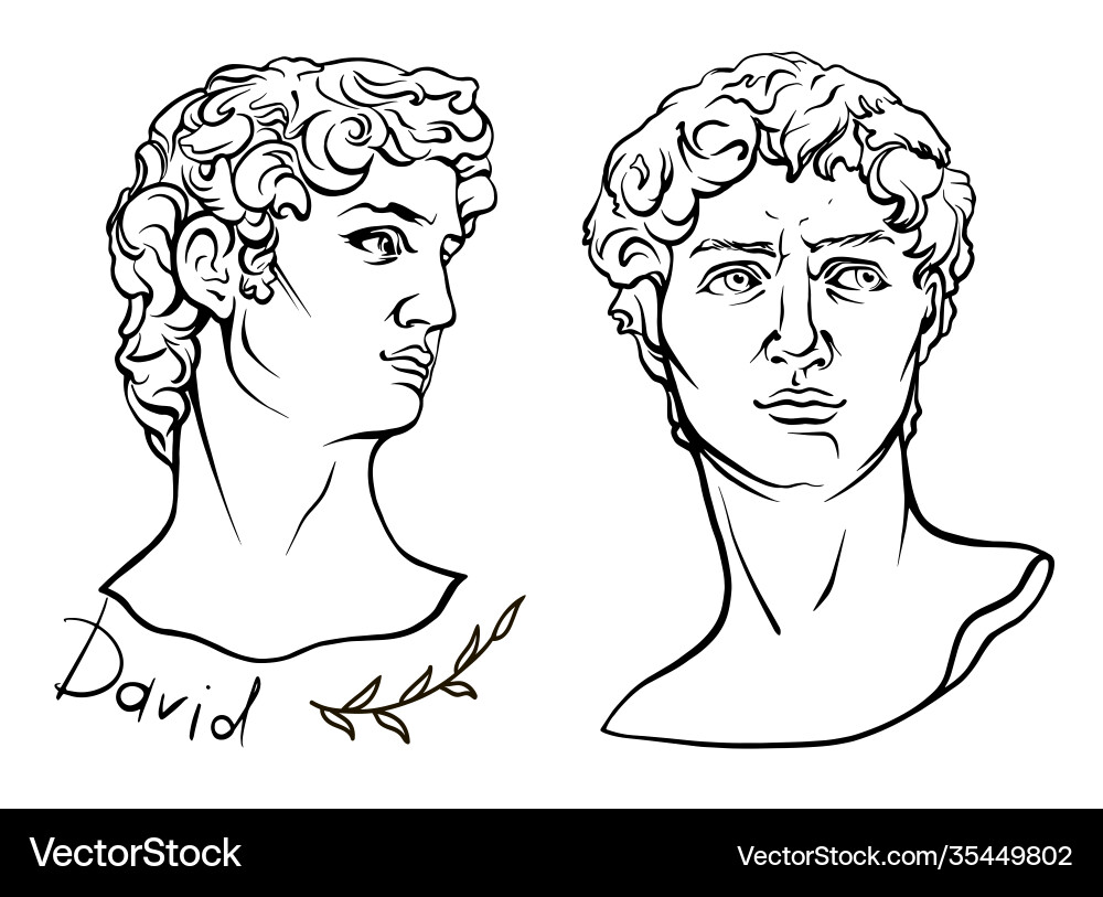 David s head period renaissance Royalty Free Vector Image