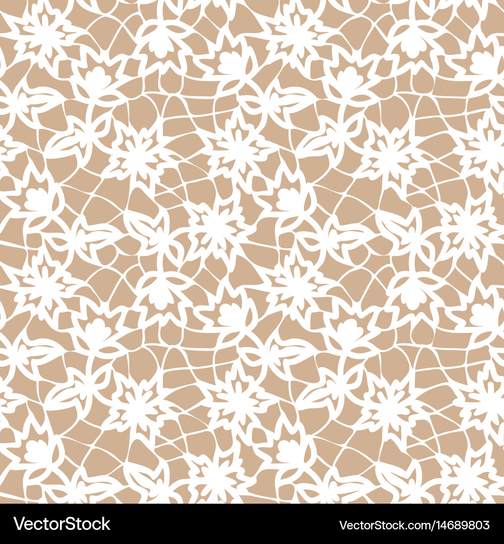 Seamless white lace Royalty Free Vector Image - VectorStock