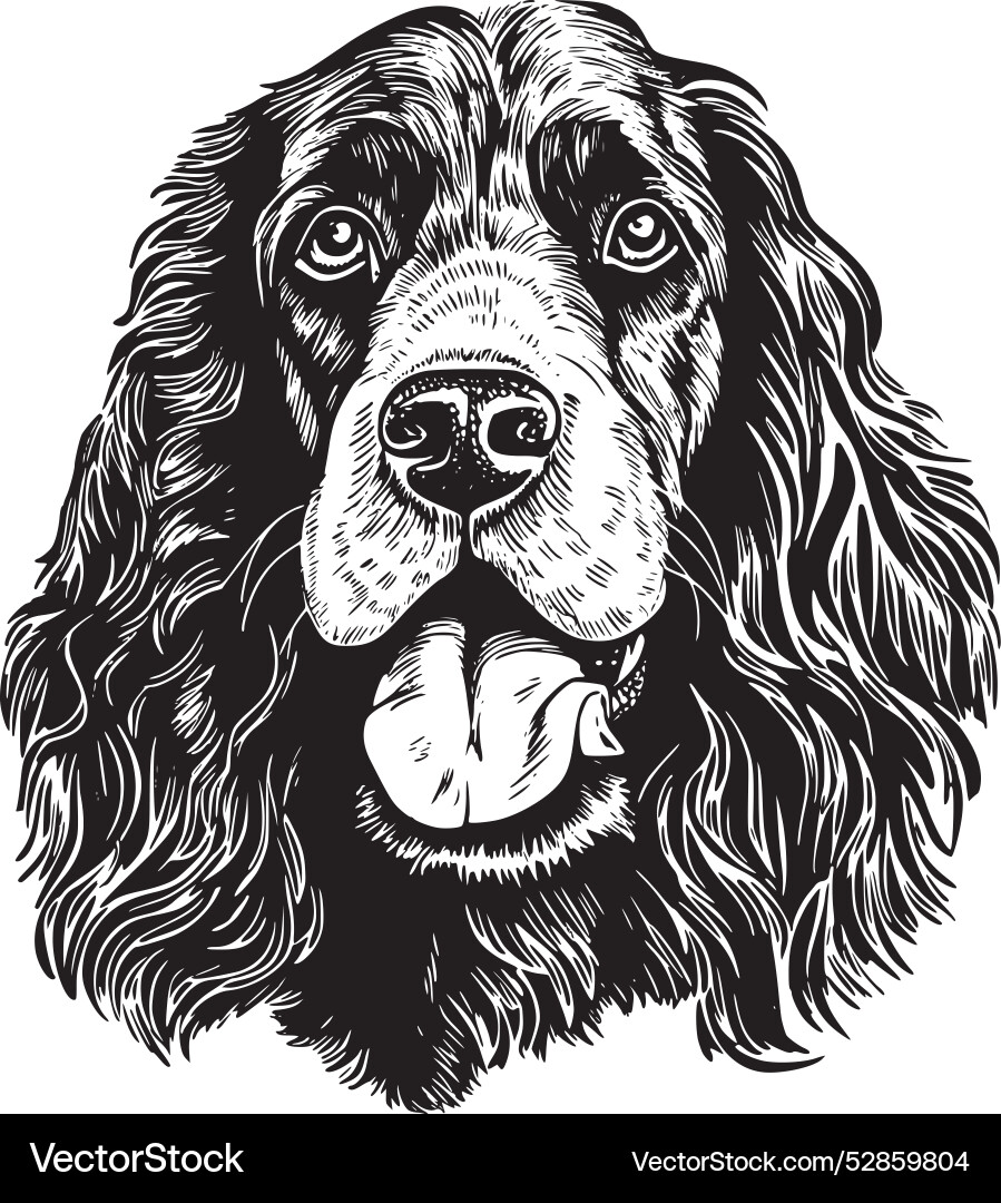 Cocker spaniel - minimalist and flat logo Vector Image
