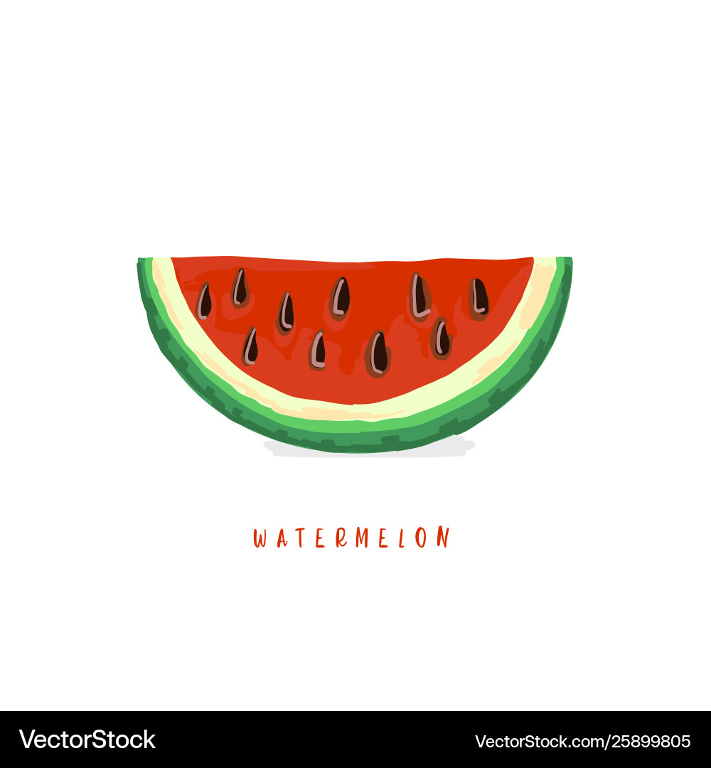 Red watermelon Royalty Free Vector Image - VectorStock