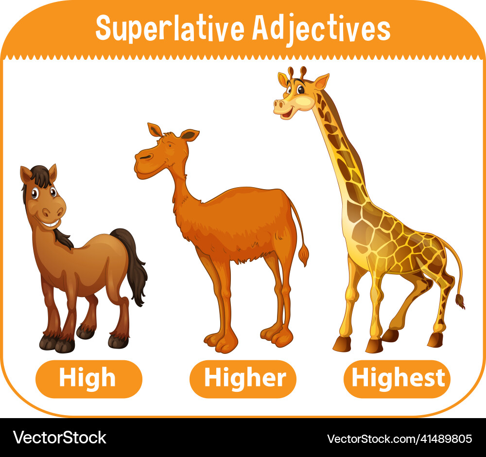 Superlative adjectives for word high Royalty Free Vector