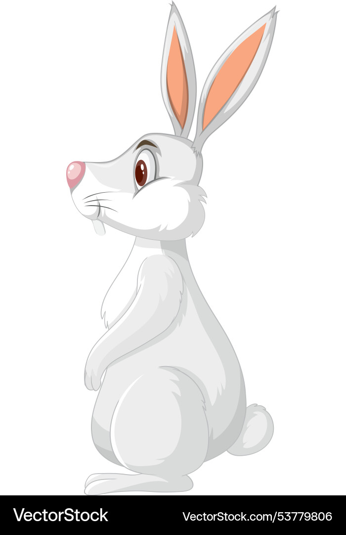 Adorable rabbit with big ears and fluffy fur Vector Image