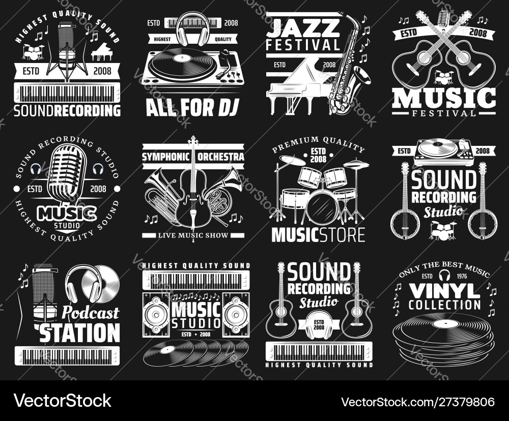 Musical instruments microphone vinyl records Vector Image