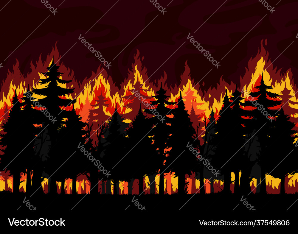 Spruce forest fire natural disaster background Vector Image