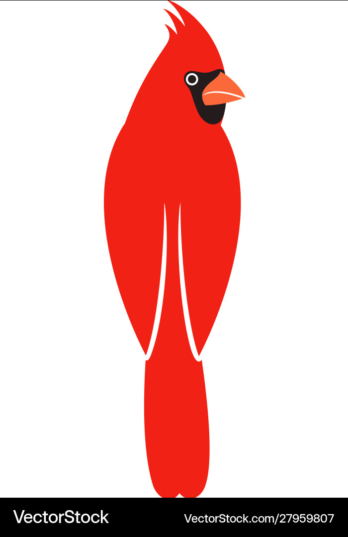 Cardinal bird Royalty Free Vector Image - VectorStock