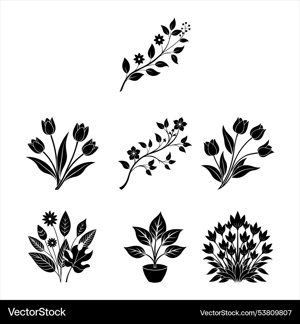 Tulip and flower plant Royalty Free Vector Image