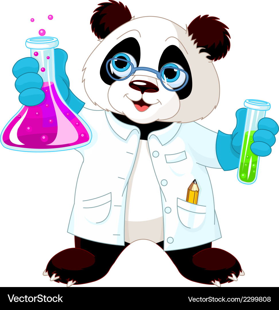 Panda scientist Royalty Free Vector Image - VectorStock