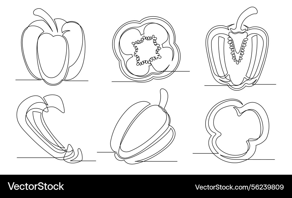 Bell pepper continuous one line drawing set Vector Image