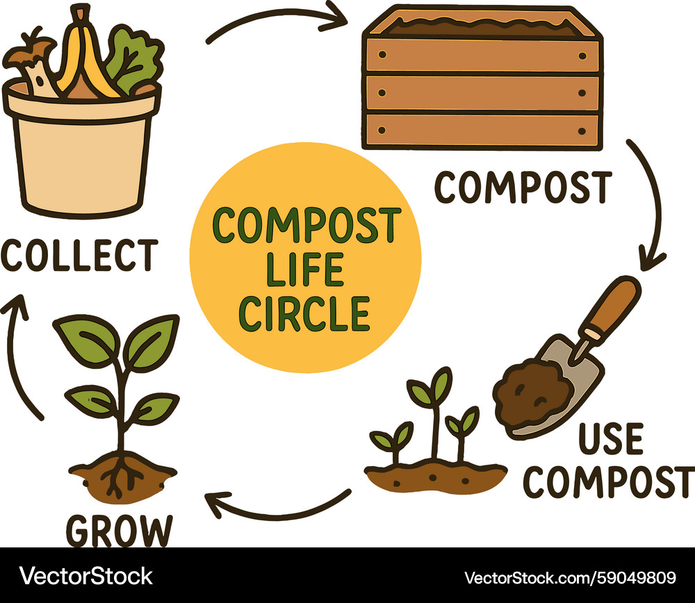 Composting Life Cycle Diagram Royalty Free Vector Image
