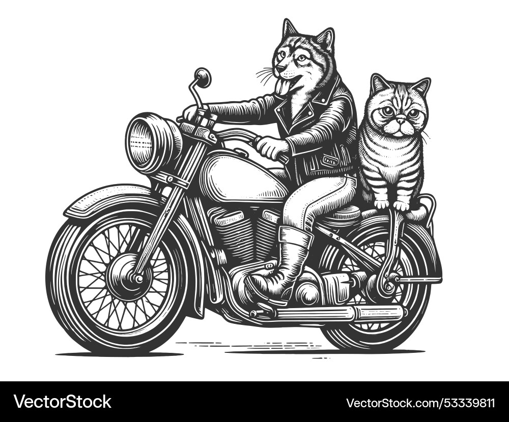 Biker dog and cat riding motorcycle Royalty Free Vector