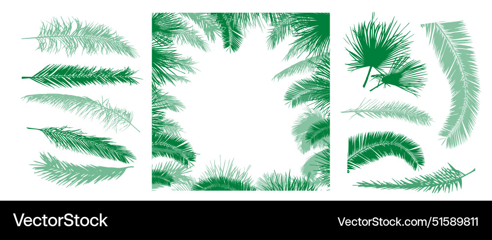 Set of green palm tree elements hand drawing Vector Image
