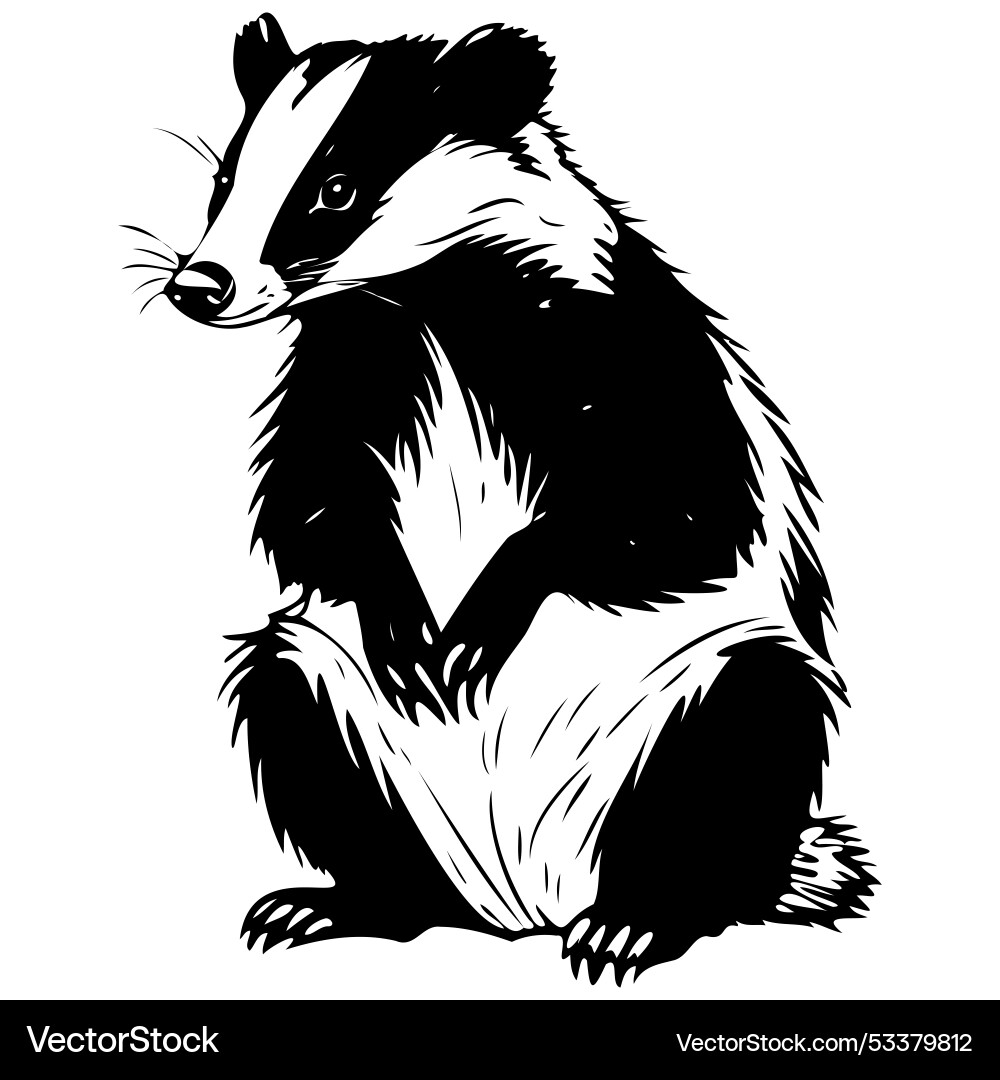Badger sitting isolated hand drawn animal Vector Image