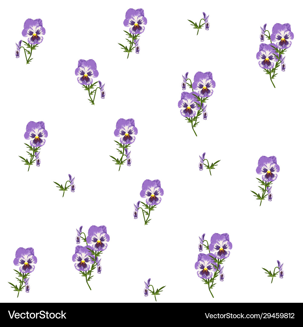 Pattern with small-scale cute flower viola Vector Image