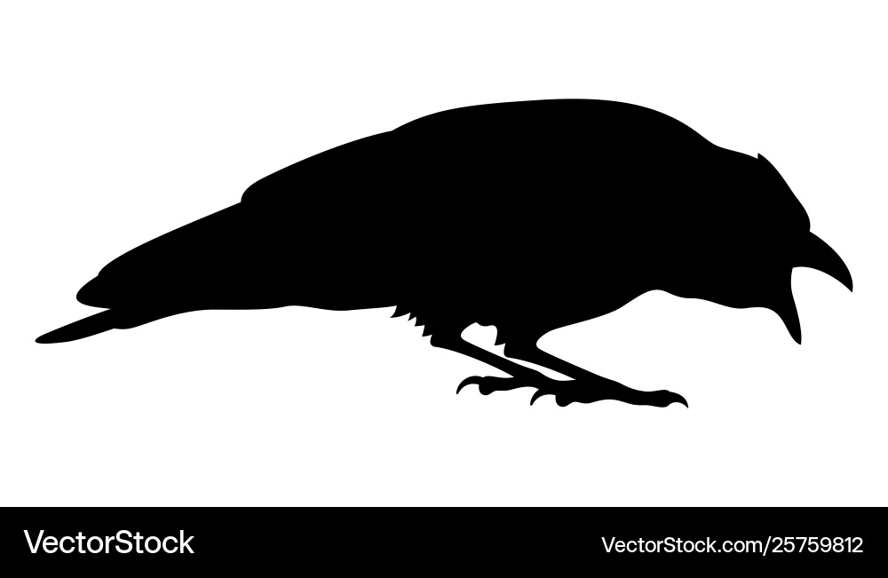 Raven 005 Royalty Free Vector Image - VectorStock