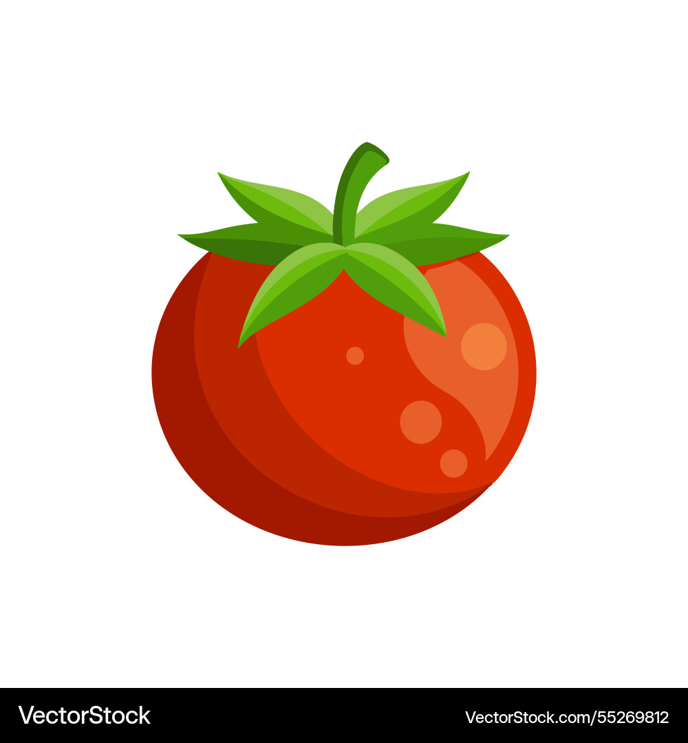 Tomato with leaves isolated flat on white Vector Image