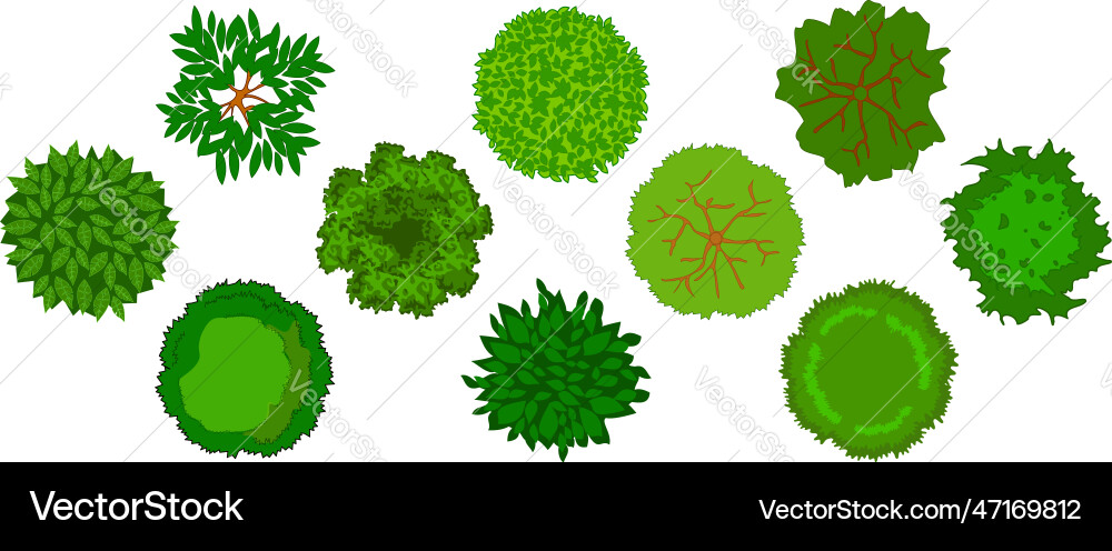 Trees top down view for landscape design Vector Image